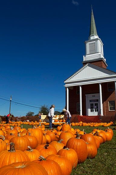 Locals search pumpkin patches before Halloween | News | jdnews.com