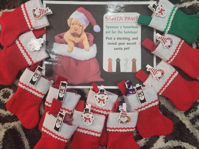 It's the season of giving. Consider donating to, volunteering at one of ...