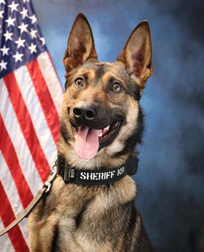 Onslow County Sheriff's Office partners with nonprofit to raise money ...