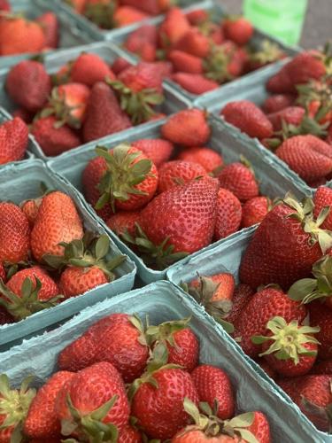 As Onslow farmer's market reopens under county supervision, here's what ...