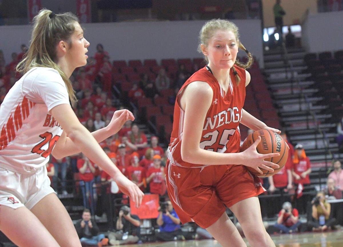 Neoga girls basketball holds off Tuscola for sectional title win