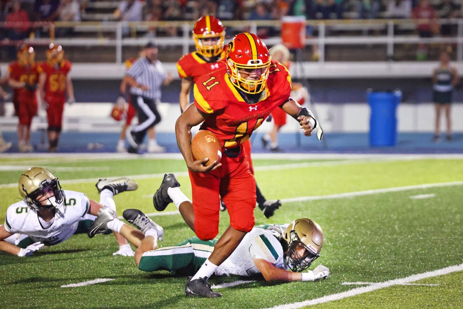 Updated: Former Mattoon board member Heidi Larson sues school district