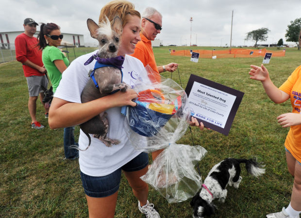 ‘Bark for Life’ raises money to fight cancer