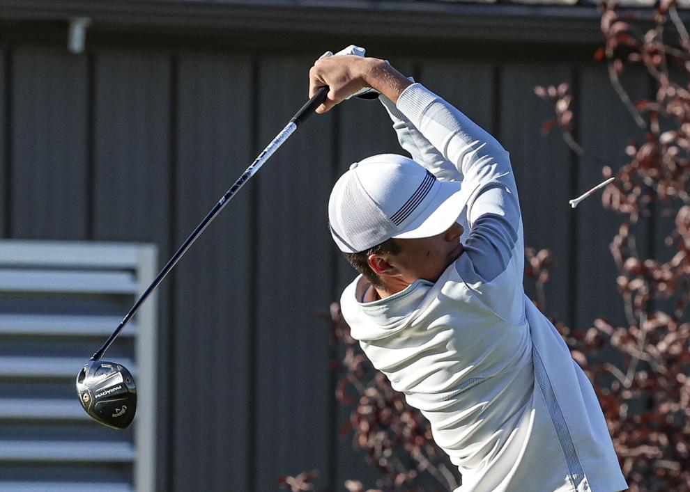 Decatur area has three winners in IHSA golf regionals