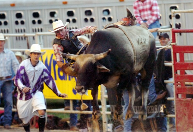 Bull riding corrals plenty of thrills