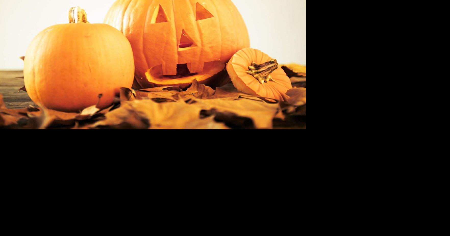 How to pick the perfect pumpkin