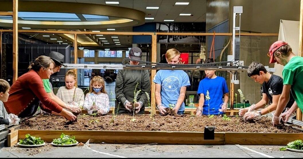 FarmBot growing food in a new way