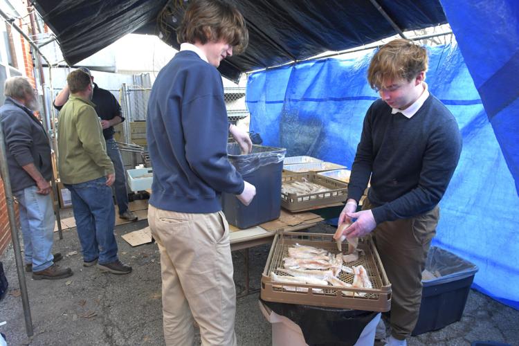 Shadow: A look at the prehistoric crustaceans living in your backyard