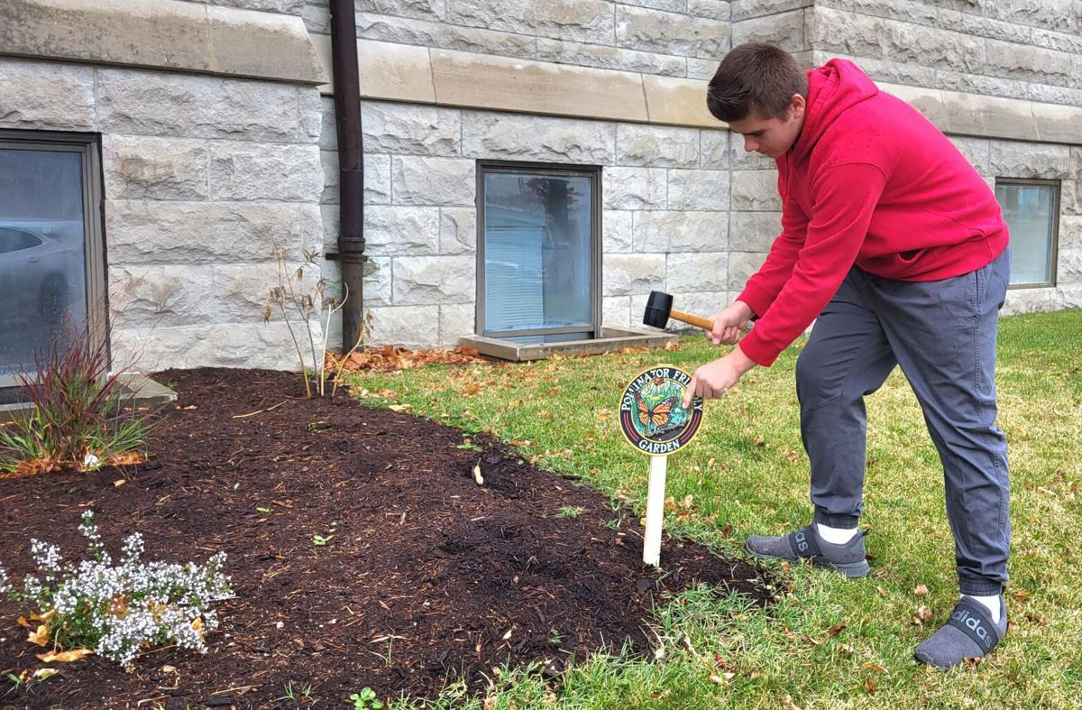 Mattoon church youth group plant pollinator garden
