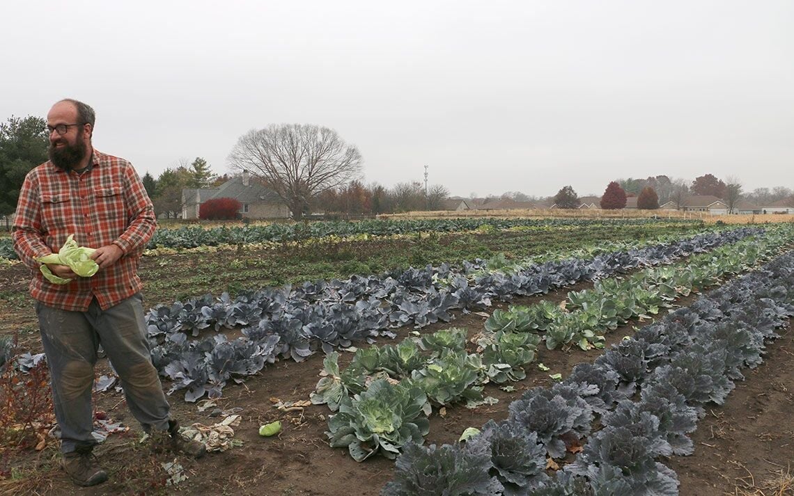 State grants allow small Illinois farmers to develop local food-sharing ...