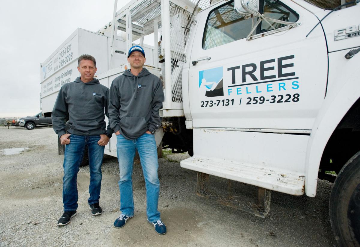 Tree Fellers offers tree trimming, removal, more