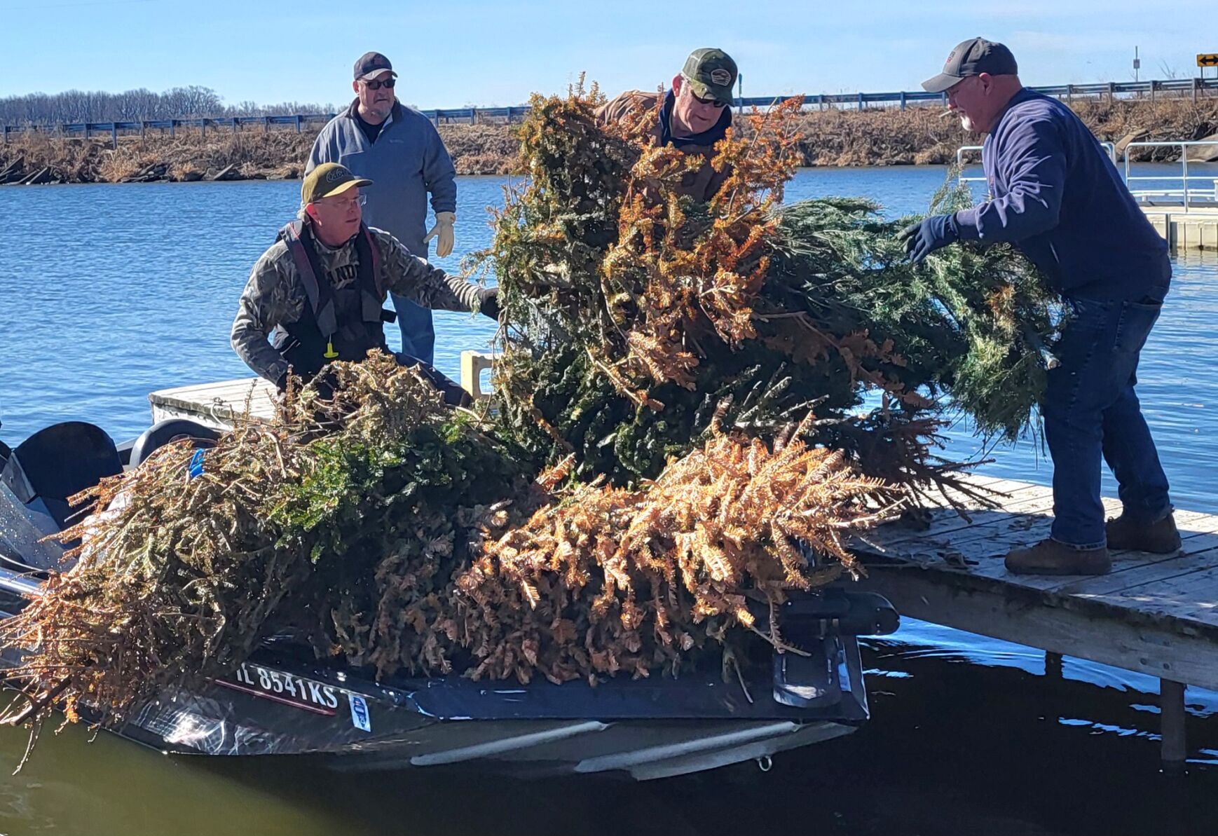 Christmas trees dropped in Lake Mattoon as fish habitat