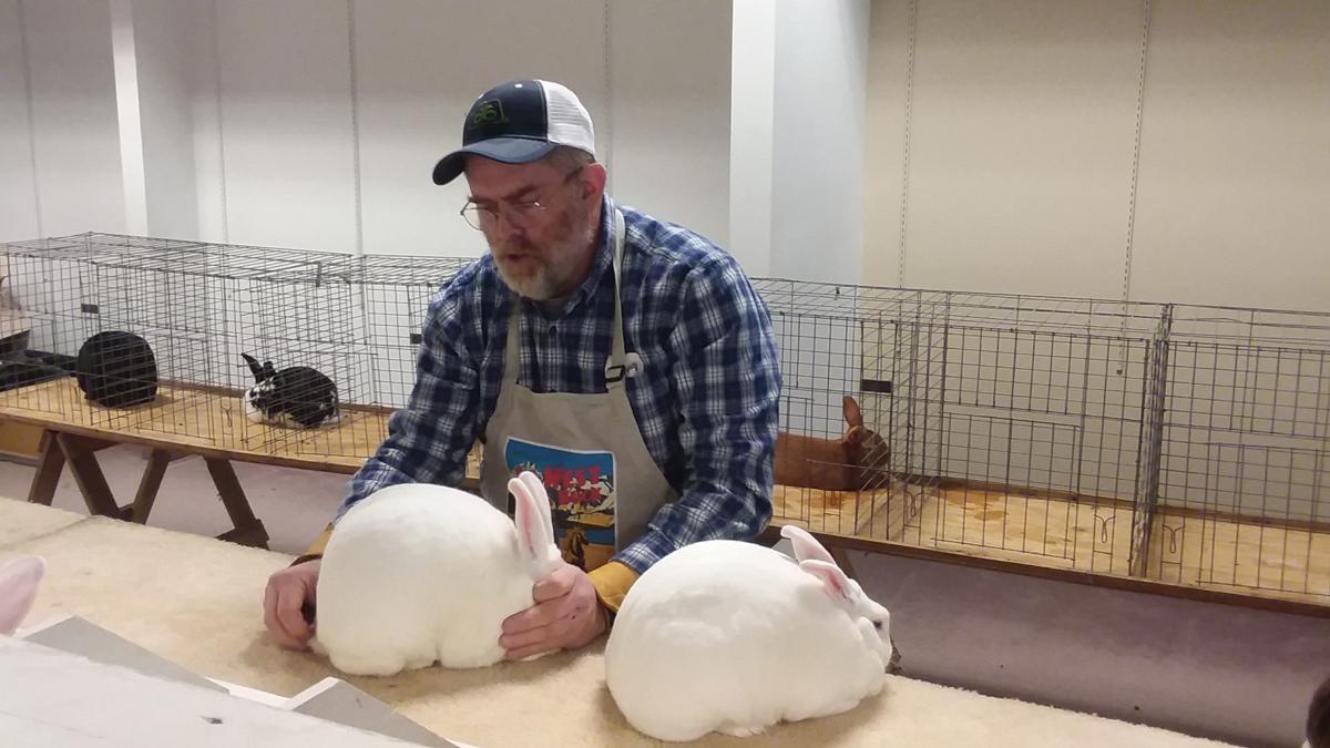 Rabbit show underway at Cross County Mall