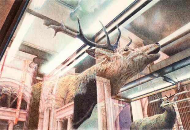 Artwork from Gilbert Rocha on display at Flourishes