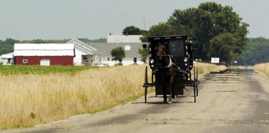 MY AMISH HOME: A hot, hazy end to summer... eventually