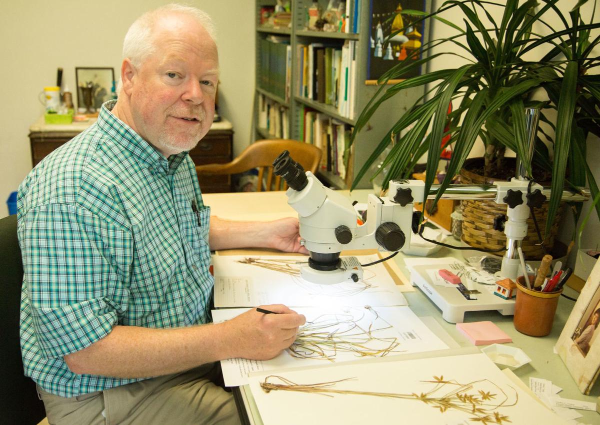 Newly discovered plant species named after EIU botany professor