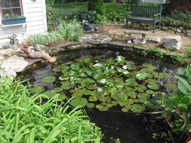 Richards Farm Restaurant