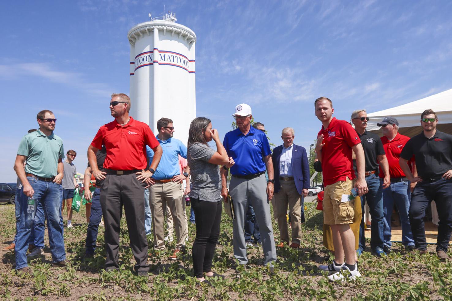 Mattoon readies for some Emerald Acres stores opening Sept. 1, Panda ...