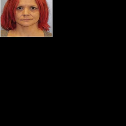 Rural Lerna woman pleads guilty to burglary, theft