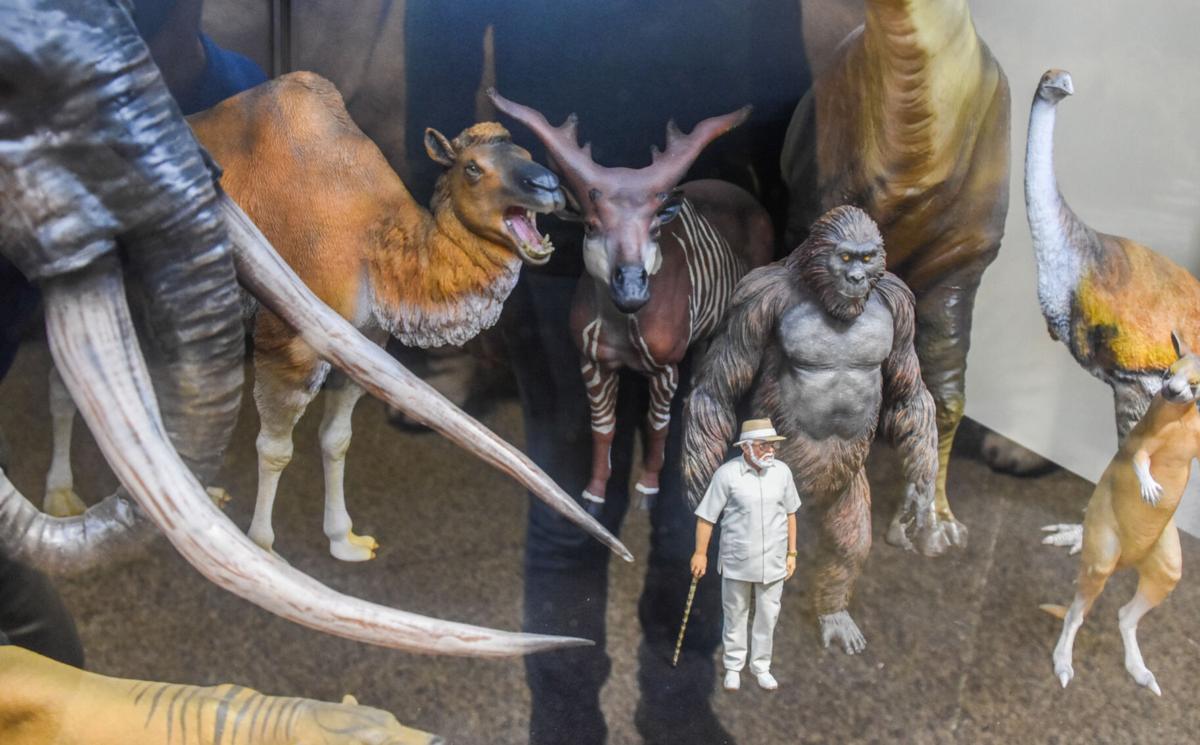Watch now: Arcola-area Museum of Prehistoric Life to open new exhibit ...