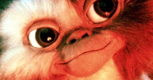 Shadow: The gremlins are taking my stuff again