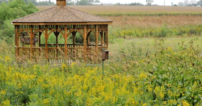 Weekly walks bring bird lovers to Douglas-Hart Nature Center