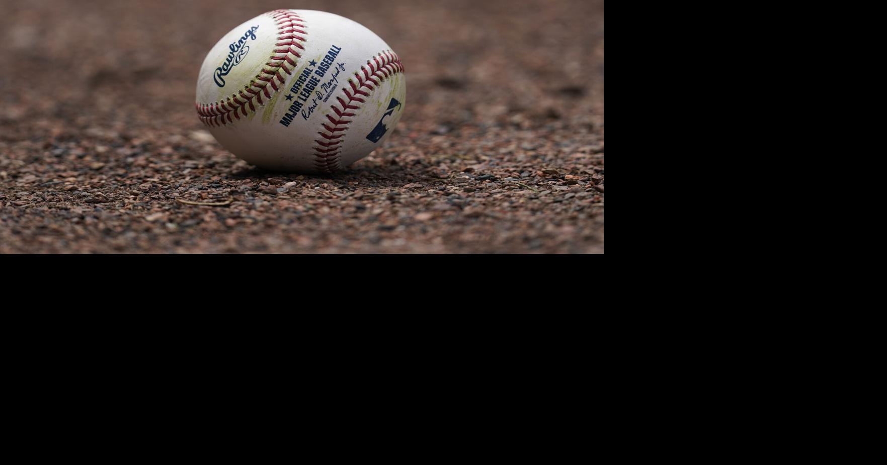 Rav Grewal-Kök: What I learned in the bleachers as a youth-baseball ...