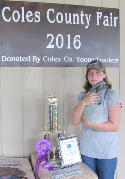 Coles County 4-H holds rabbit show