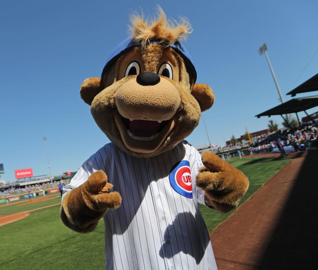 Translations included: Cubs have opening for 'part-time mascot handler'