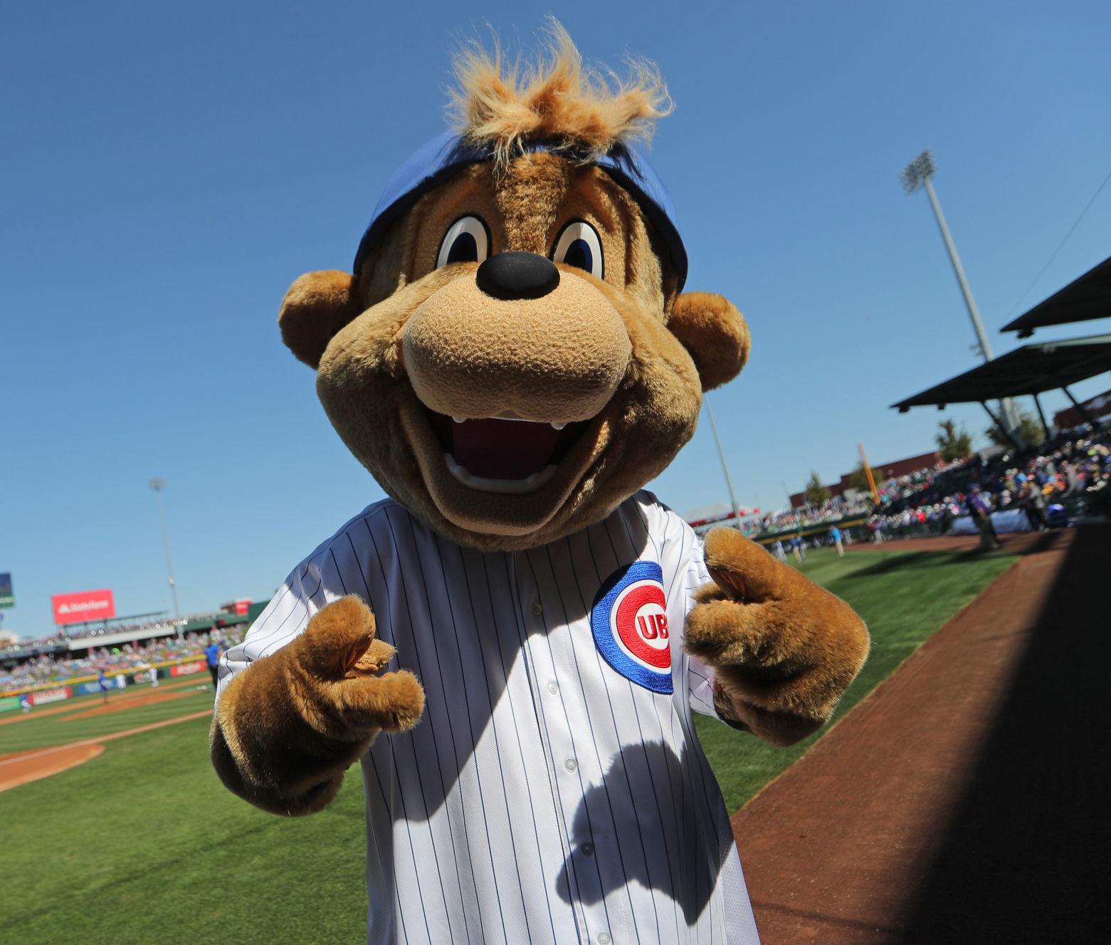 Translations included: Cubs have opening for 'part-time mascot handler'