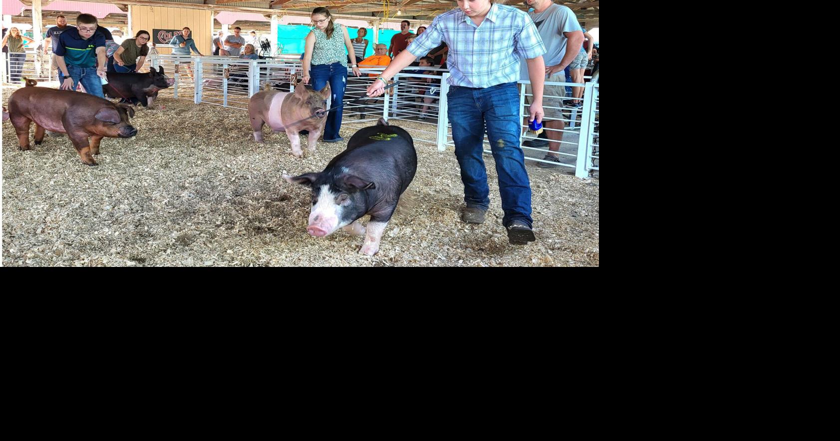 Coles County Fair wraps up good week of family fun