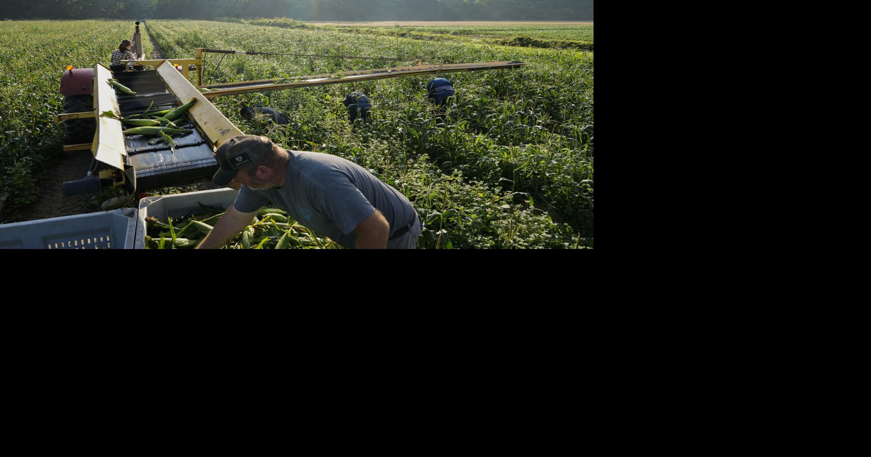 For many farmers, good employees are hard to find
