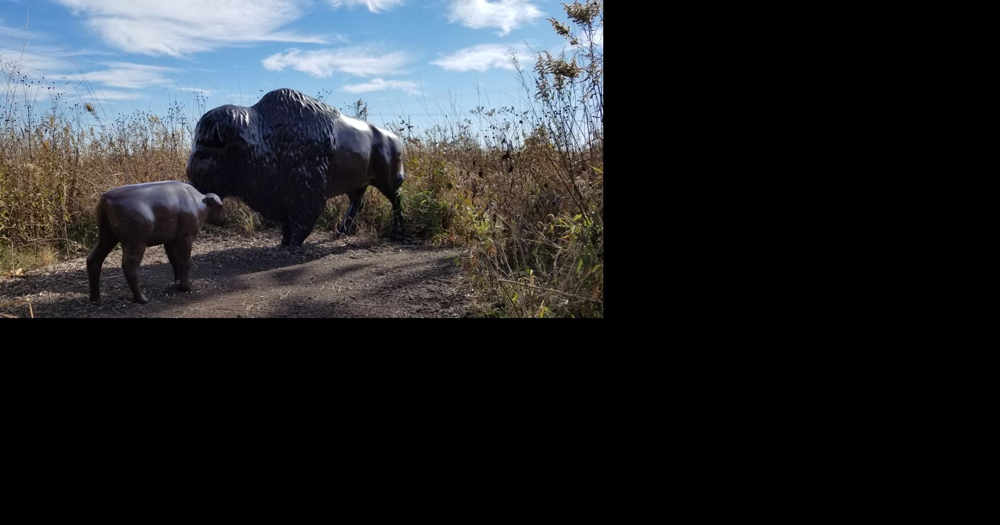 Earth Day Celebration, native plant sale planned at Douglas-Hart Nature ...