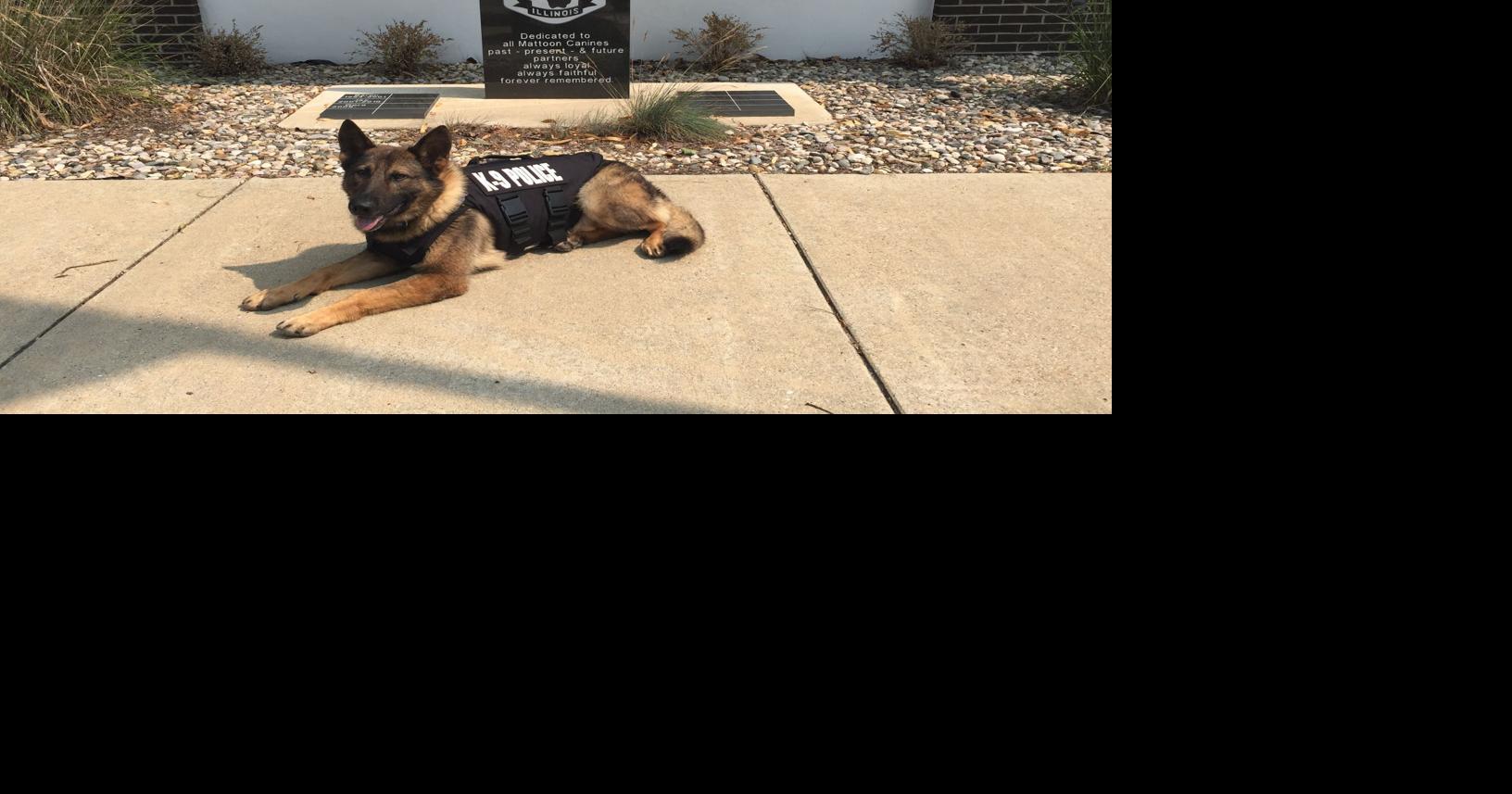 Mattoon police canine has received protective vest