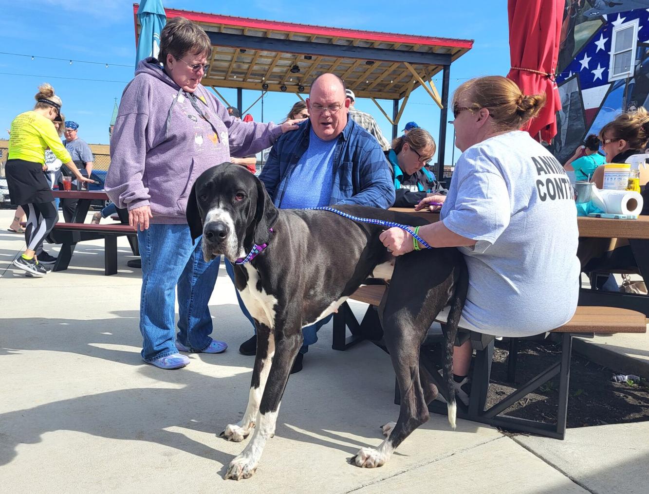 Photos: Coles County Animal Shelter adoption event in Mattoon