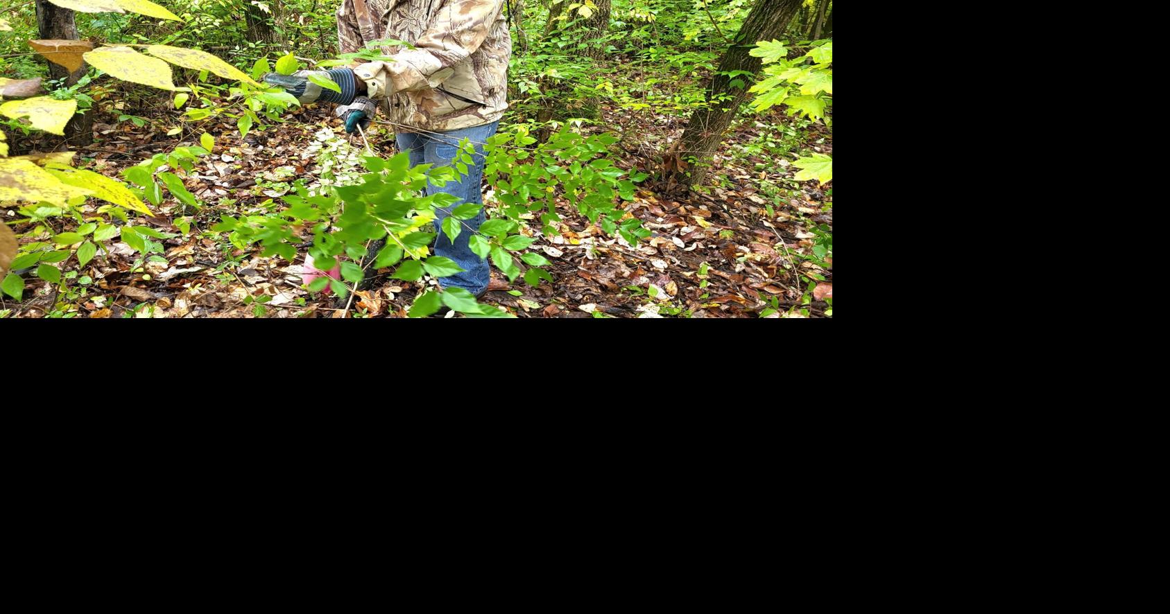 WHAT'S HAPPENING: Camp New Hope Clean Up Day, Lakeview Park workday and ...