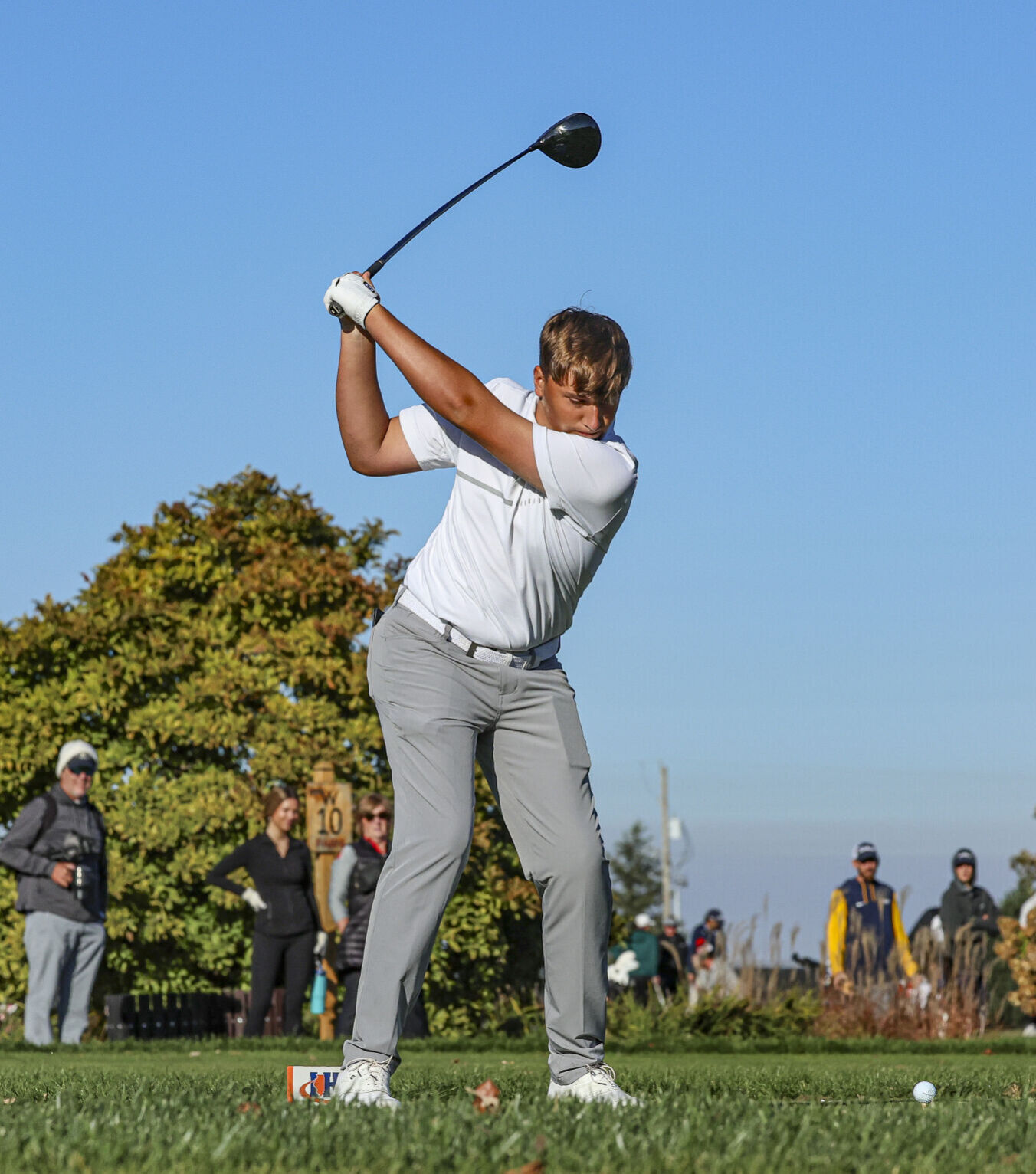 Decatur area has three winners in IHSA golf regionals