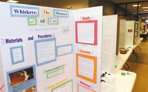 Science fair projects test theories from distracted driving to fear