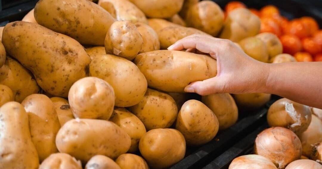 YARD AND GARDEN: A bucket-full of potato facts