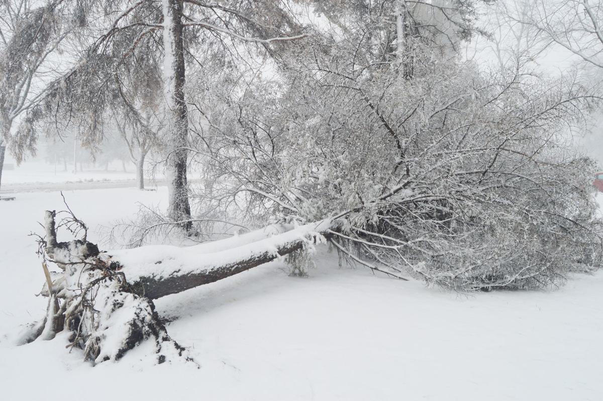 Blizzard conditions hit area