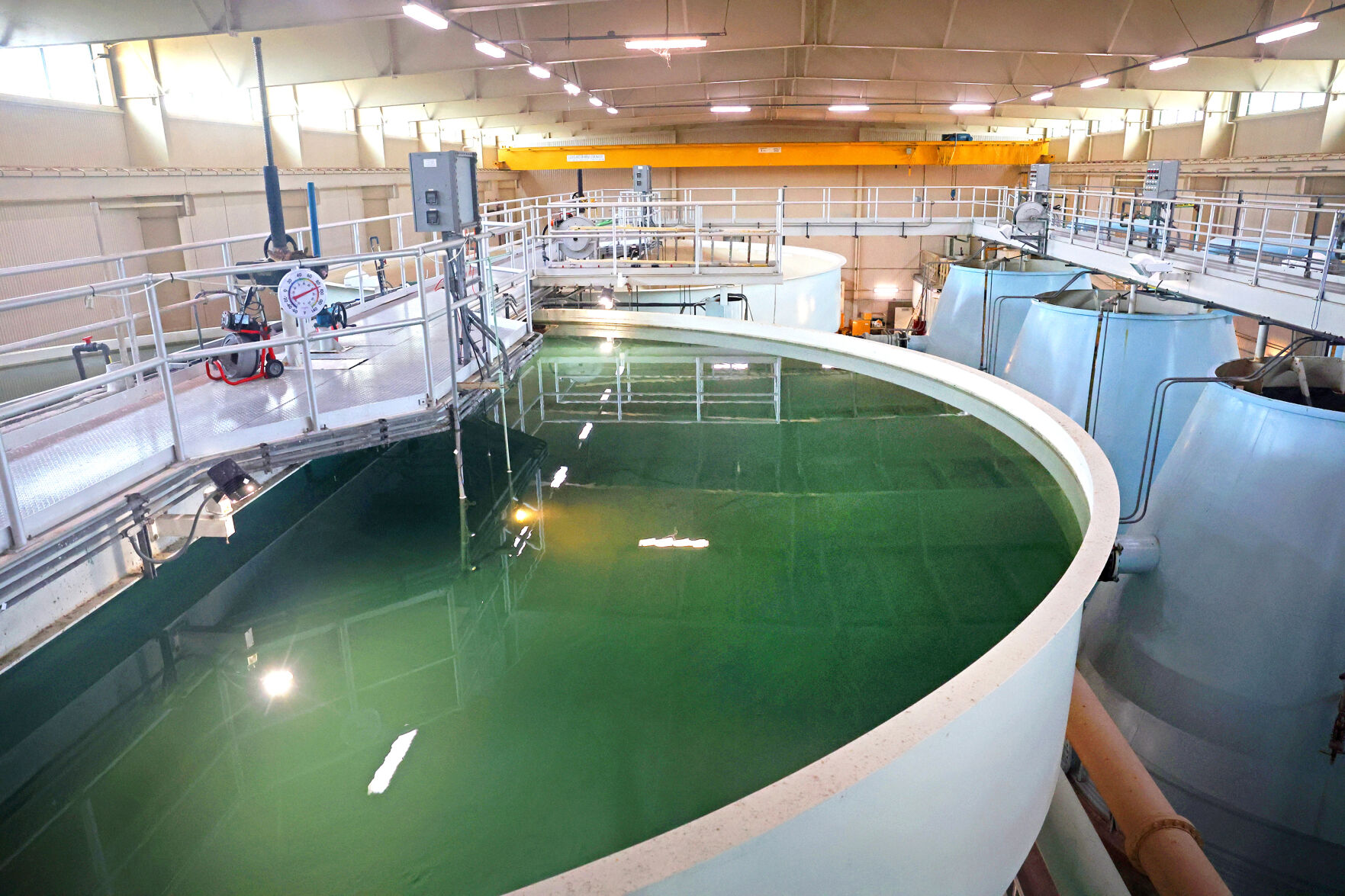 Mattoon steps up treatment for algae, looks long term