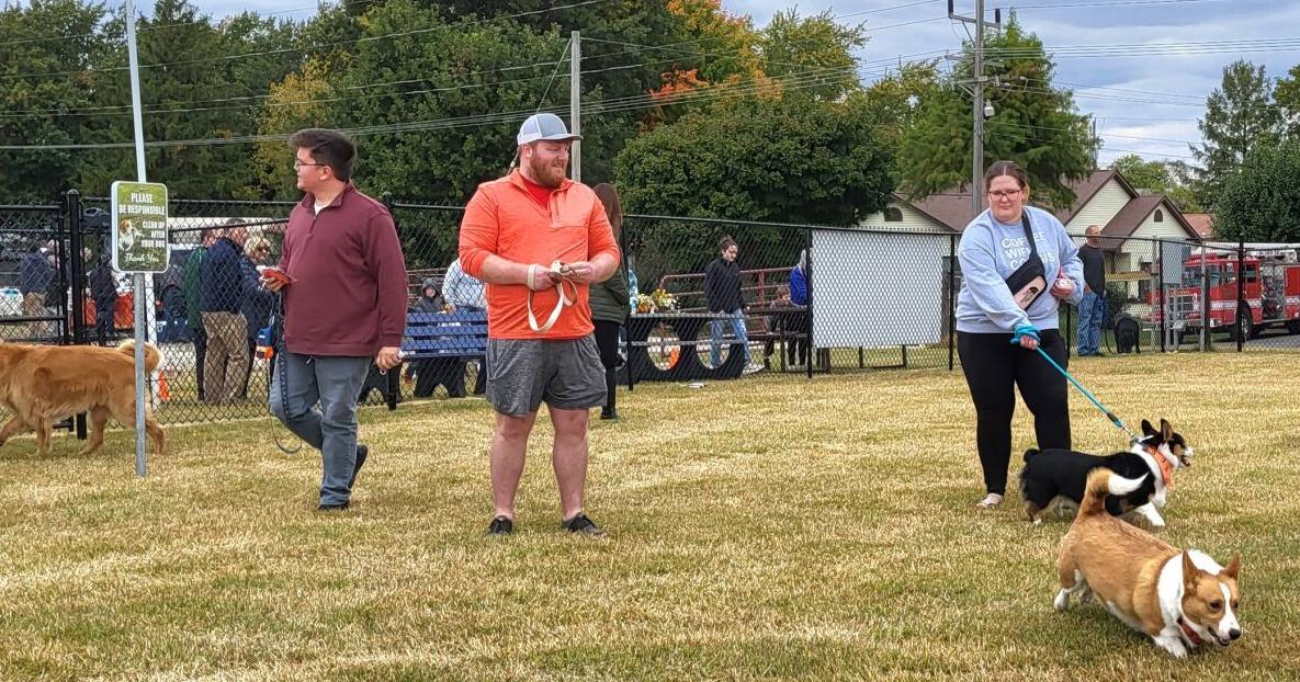 Canines try out new Mattoon Community Dog Park