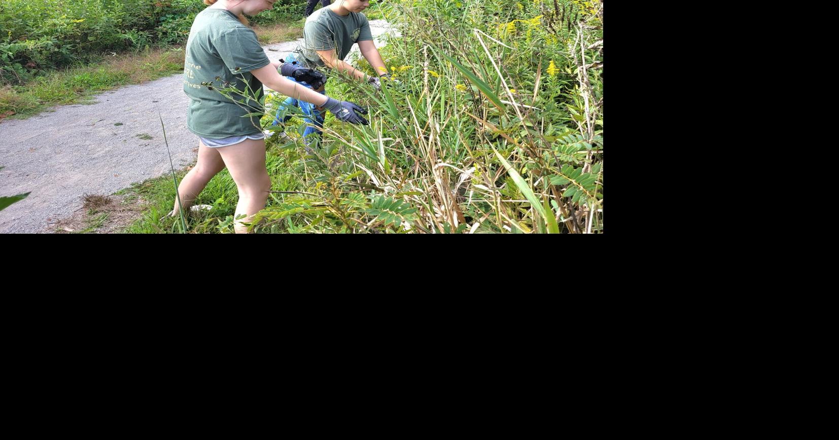 Mattoon High School students perform community service on Green & Gold Day