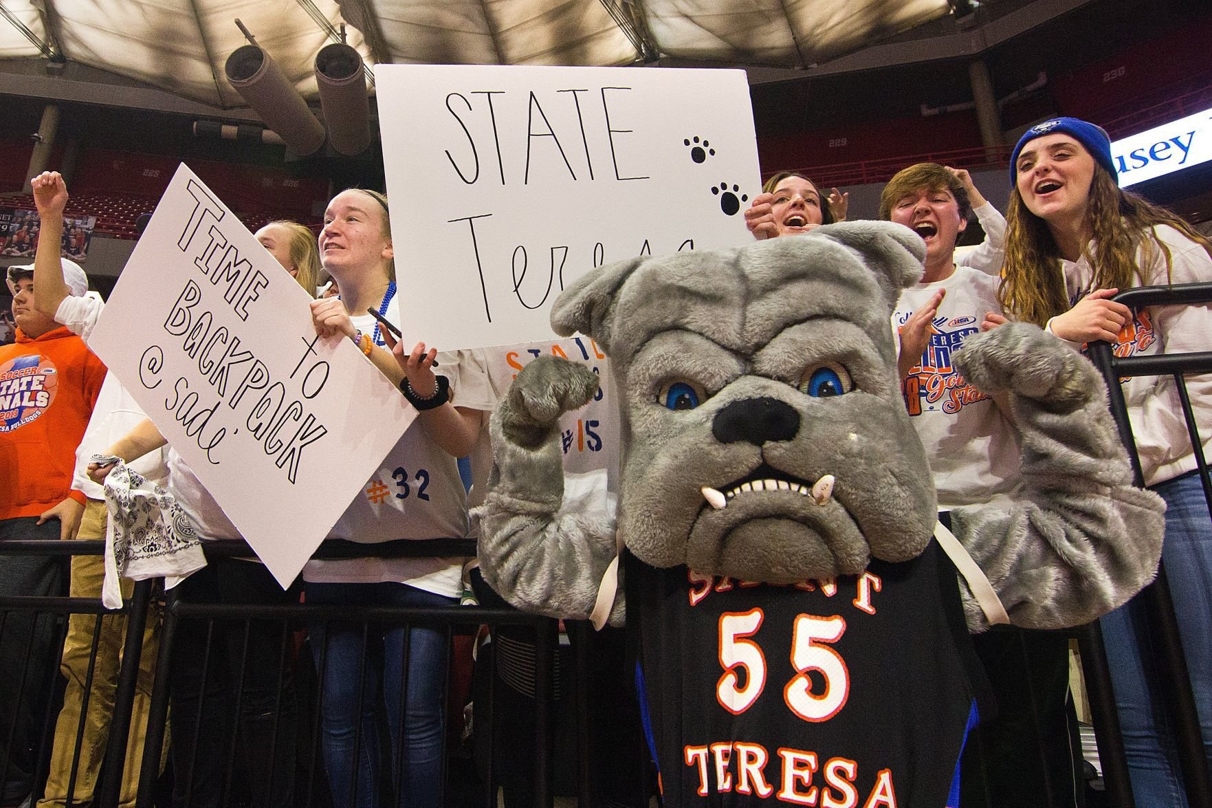 St. Teresa beats Breese Mater Dei to claim the first state volleyball ...