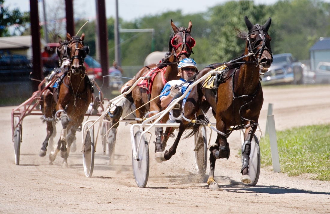 Friday's fair harness racing card