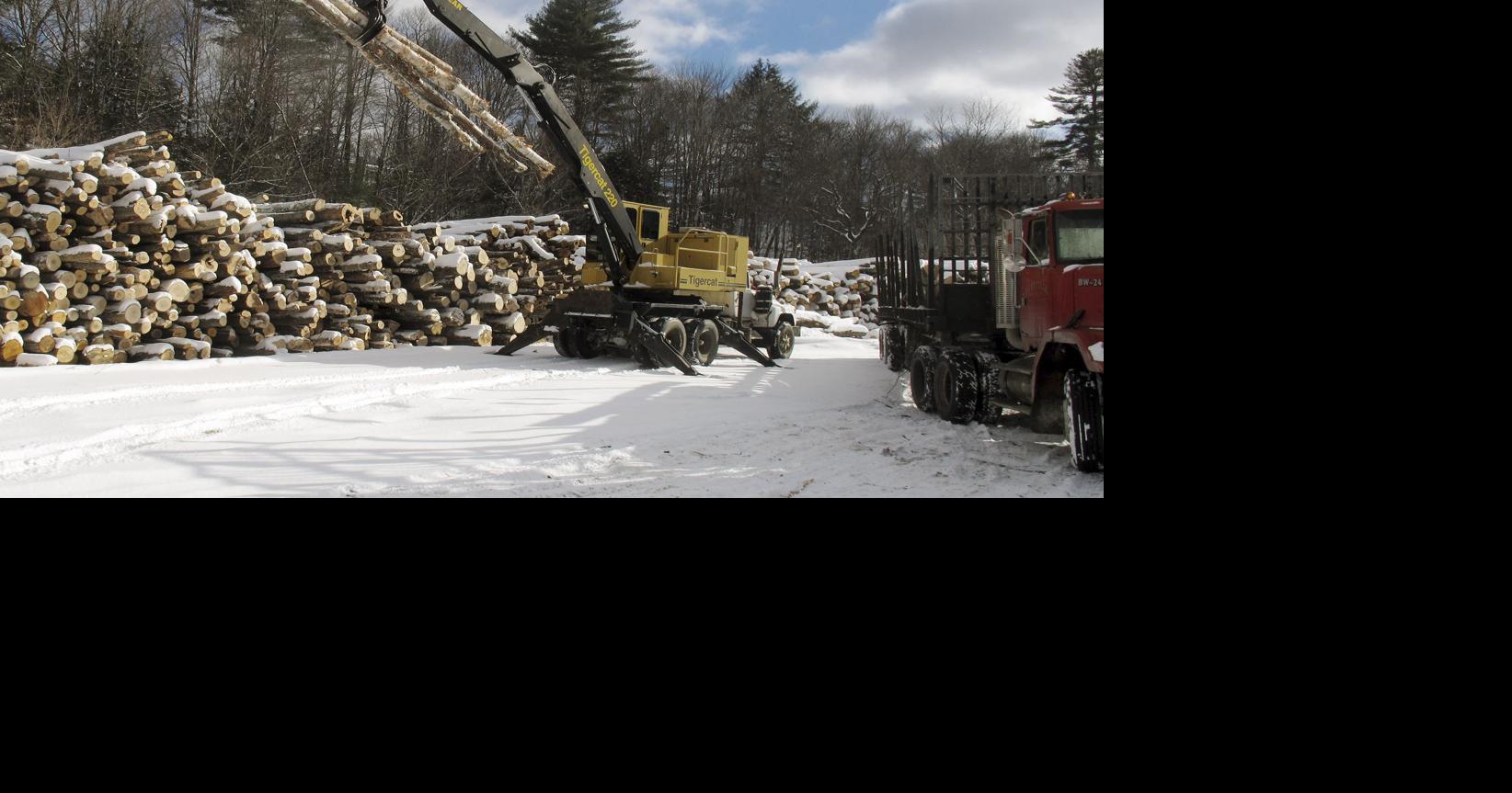 Waving goodbye to a piece of Americana _ the lumberjack