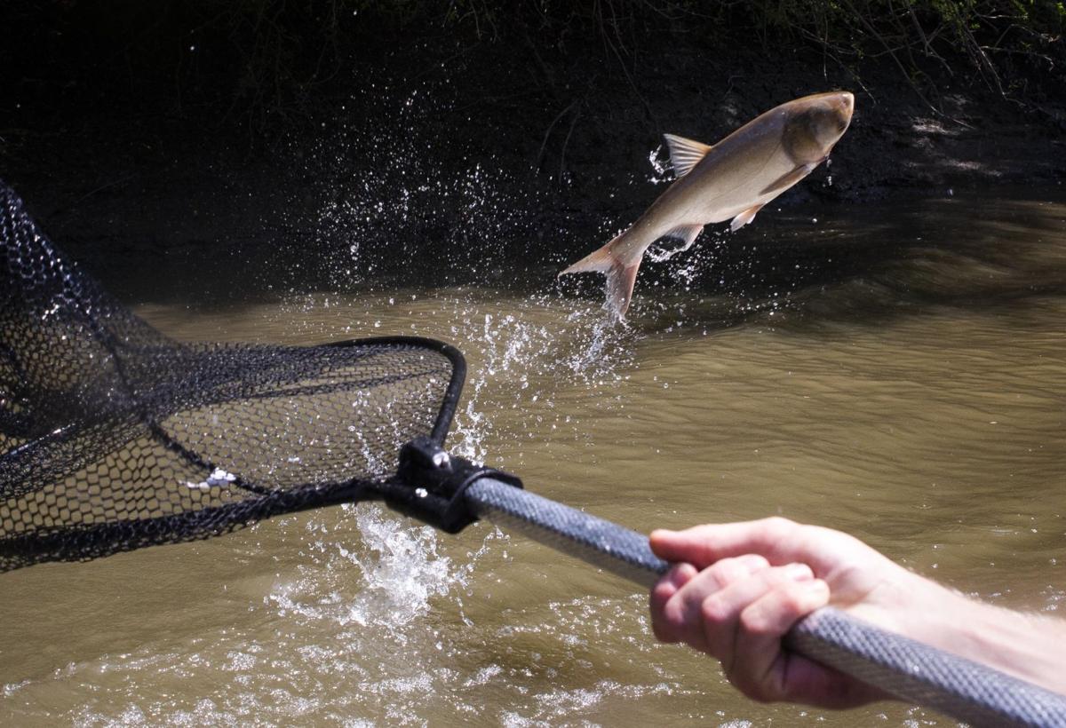 In Bath, Illinois, the 13th Original Redneck Fishin’ Tournament is the lure
