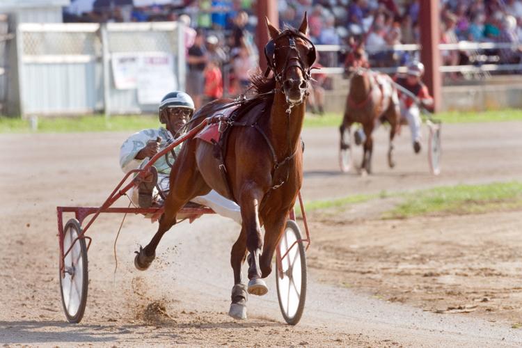 'It's a grind, I promise you.' A peek into the life of a harness racer