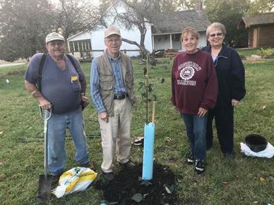 'Johnny Appleseed' apple trees arrive