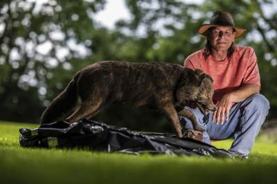 Illinois man's video sparks testing of potential wolves